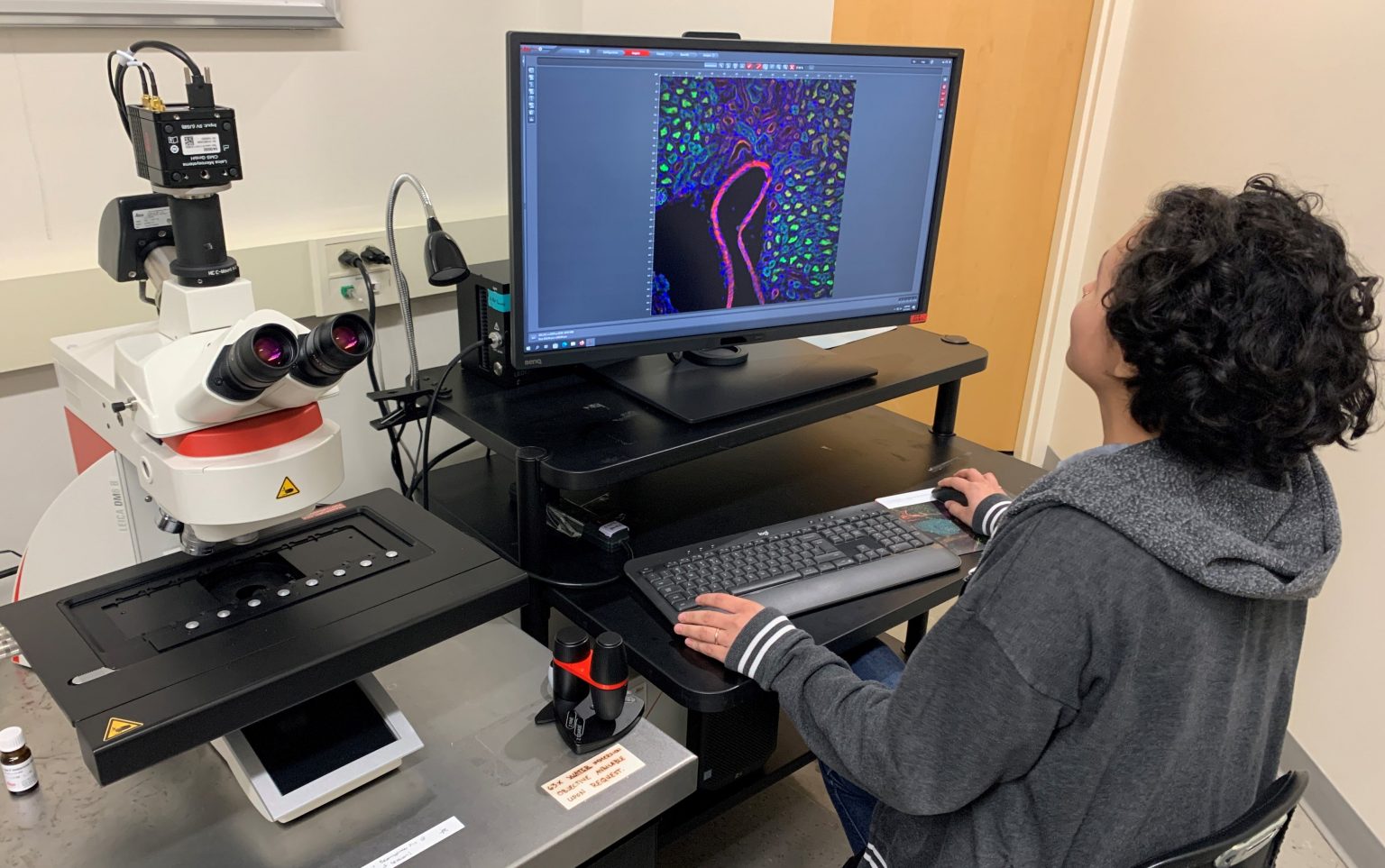 Leica Thunder Imager | Advanced Light Microscopy Facility